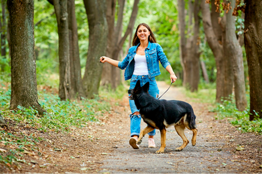 Keeping Your Pets Safe This Spring | Direct4Pet