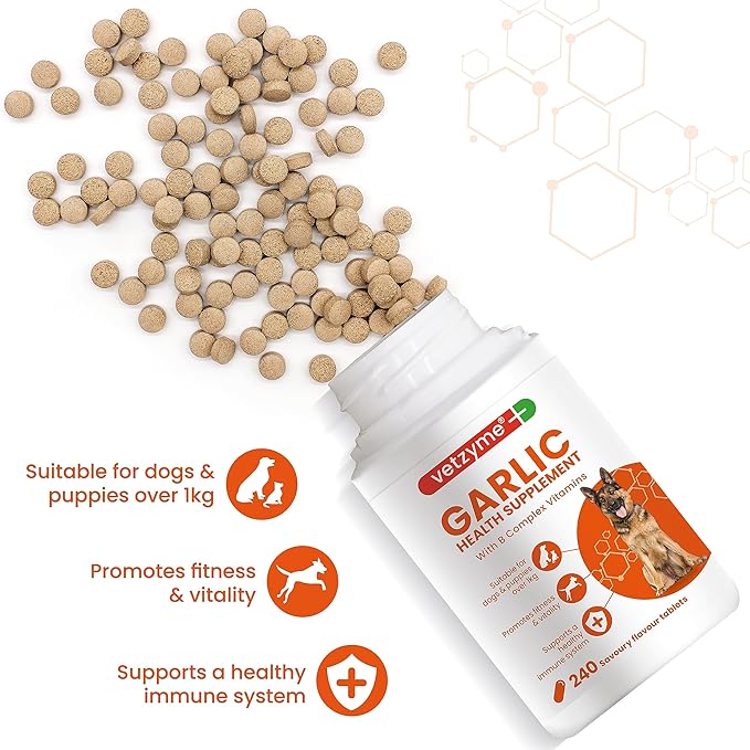 Vetzyme Garlic Health Supplement Tablets 240 Tablets | Direct4Pet ...