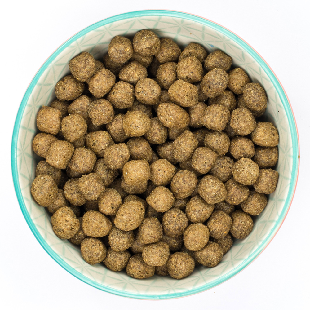Burns Natural Dog Food Alert Assistance Lamb & Brown Rice 2kg ...