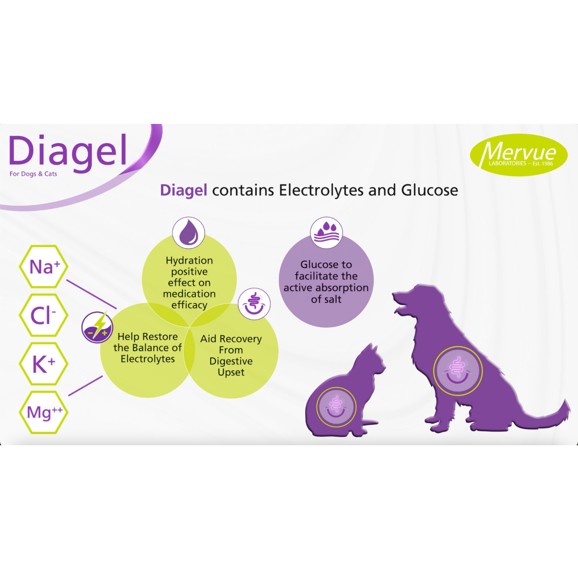 Mervue Diagel Digestive Support For Dogs & Cats - Diarrhoea ...