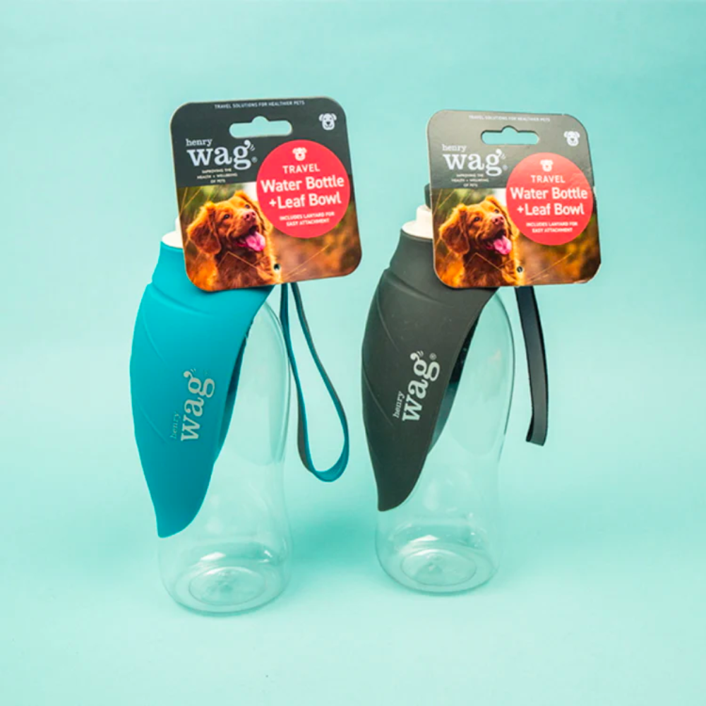 Henry Wag Water Bottle with Leaf Bowl Blue or Grey 500ml | Free ...