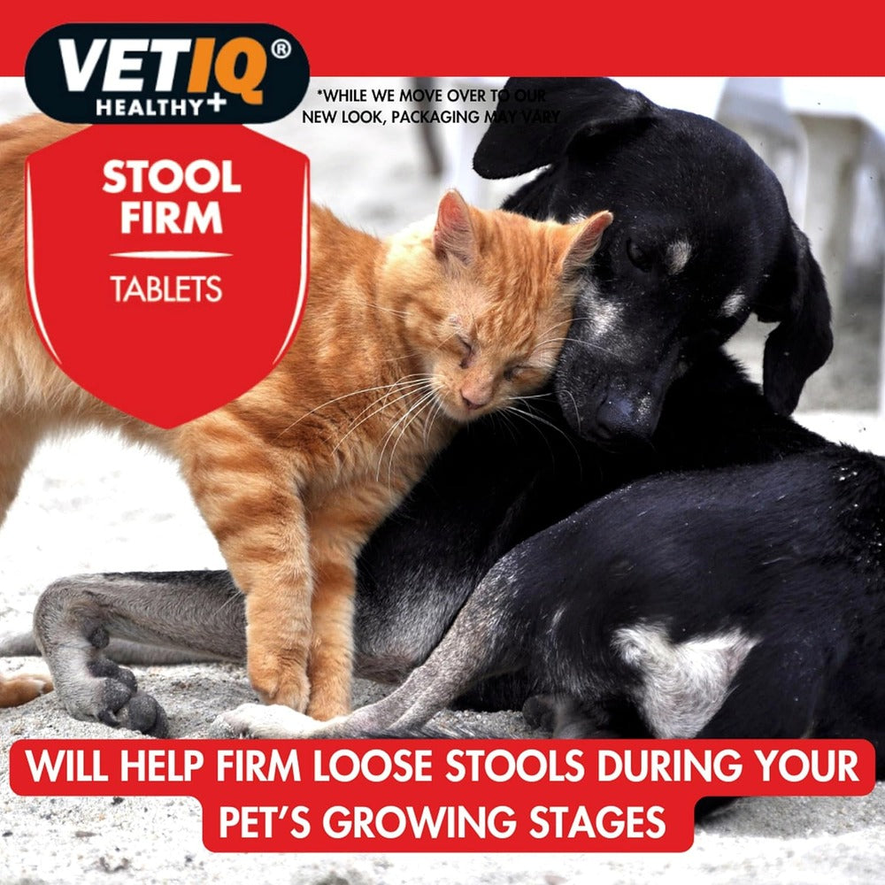 VETIQ Stool Firm 45 Tablets | Direct4Pet | Free Delivery