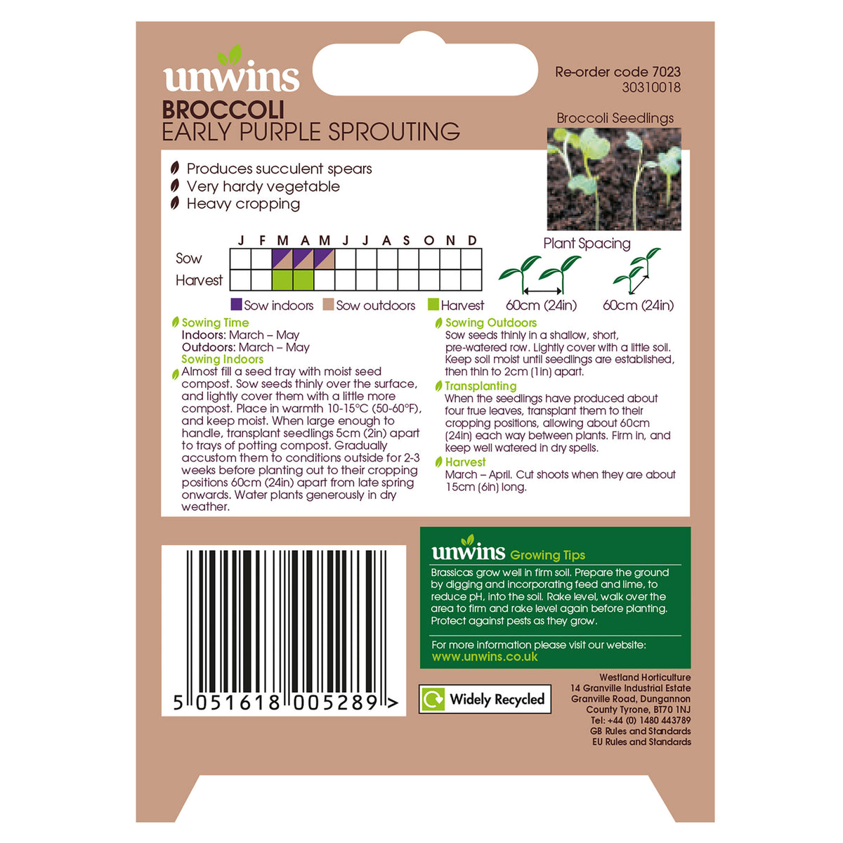 Broccoli Early Purple Sprouting | Direct4Pet