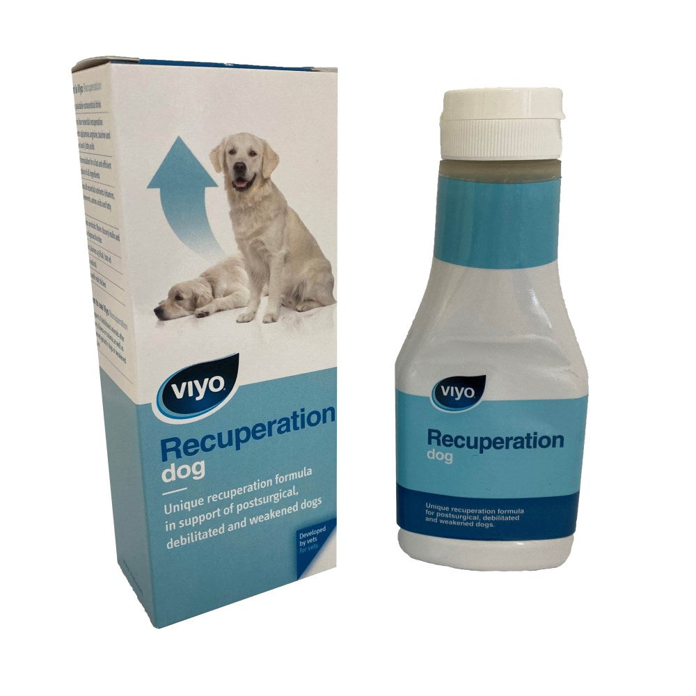 Viyo Recuperation For Dogs 1 Unit - 150ml |Direct4Pet | Free Delivery