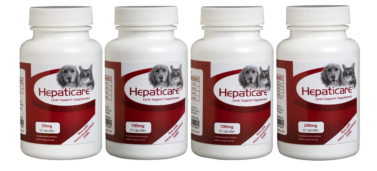 Hepaticare Liver Supplement Support | Direct4Pet | Free Delivery
